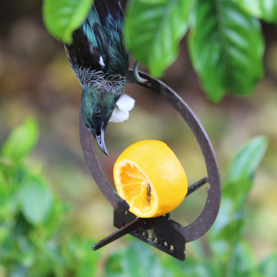 Metalbird: Bird Silhouettes That Come to Life – Metalbird New Zealand