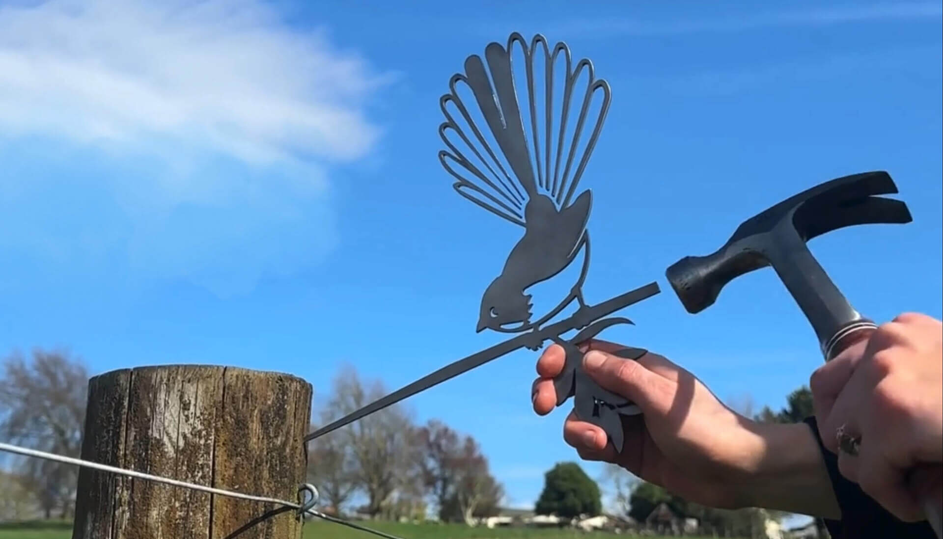 Metalbird: Bird Silhouettes That Come to Life – Metalbird New Zealand