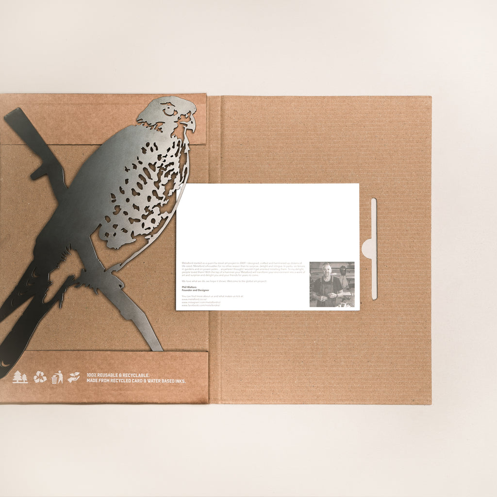 Karearea / New Zealand Falcon – Metalbird New Zealand