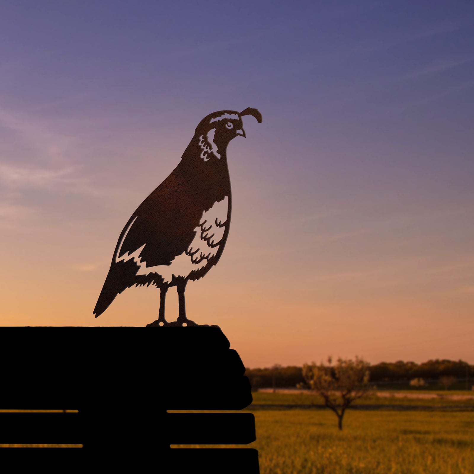California Quail Garden Art – NZ Corten® Steel Bird Sculpture ...